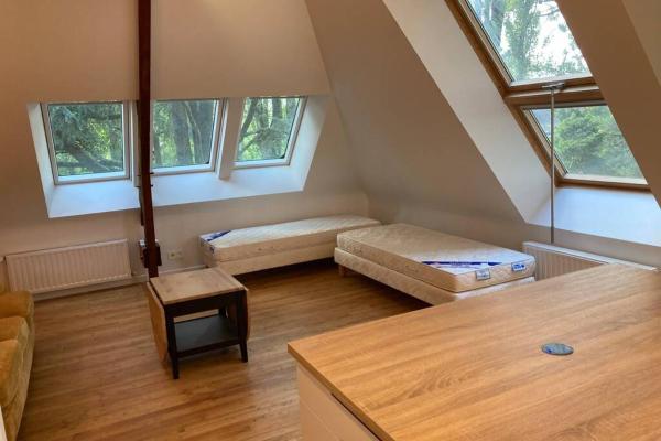 Lumineux Appartement Au Milieu Des Arbres - Morbihan