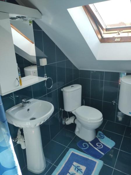 Apartmani Mile - Sokobanja