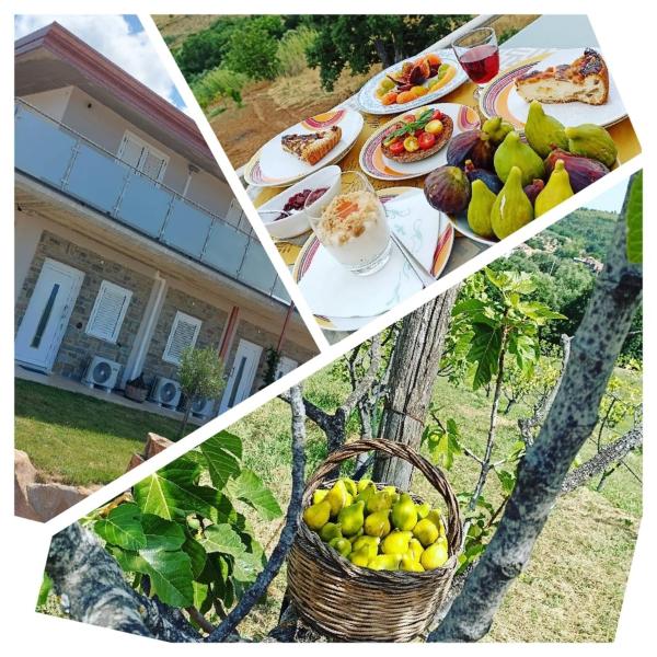 Casa Del Sole - Pisciotta