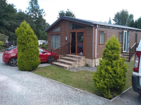 Squirrel Lodge - Forest of Dean