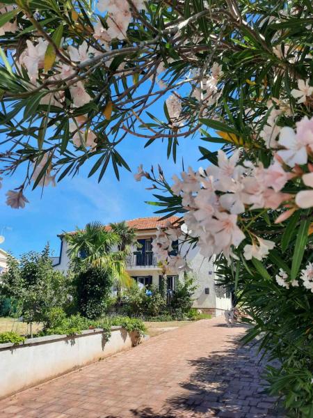 Apartments Palm House - Rovinj