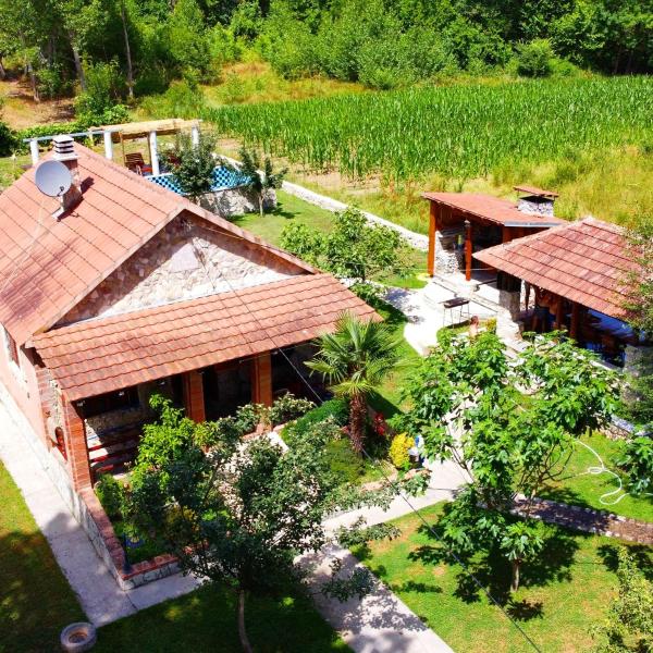 Forest Home - Montenegro