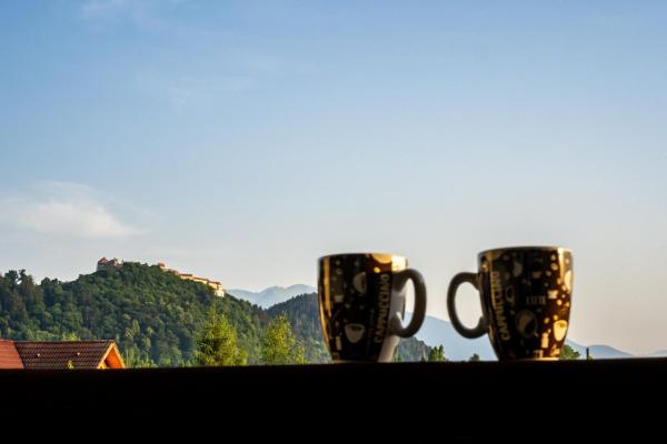 Apartament Cetate View - Râșnov