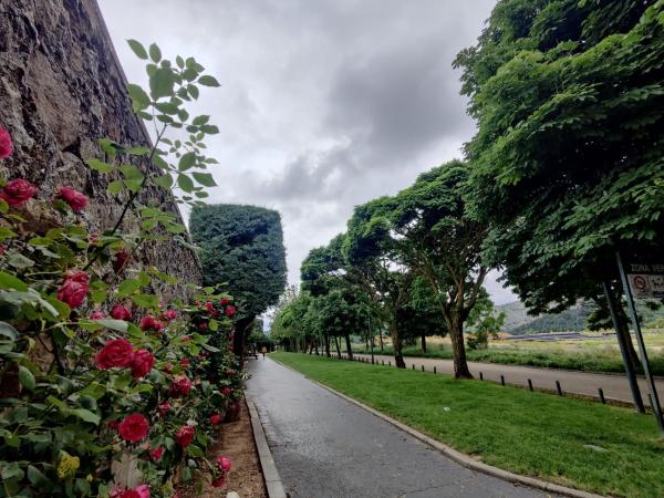 Hotel Leonor Mirón - Soria