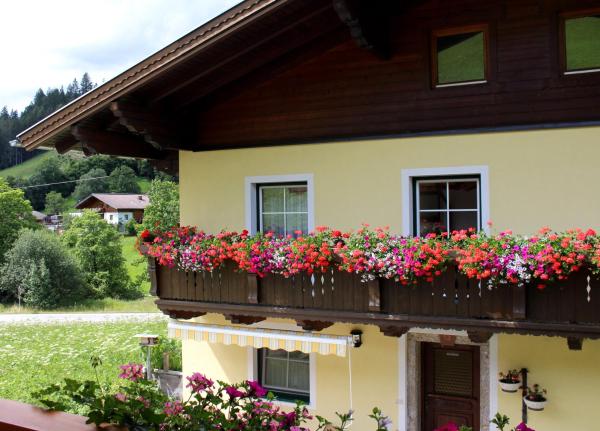 Appartement Gleiminger - Untertauern