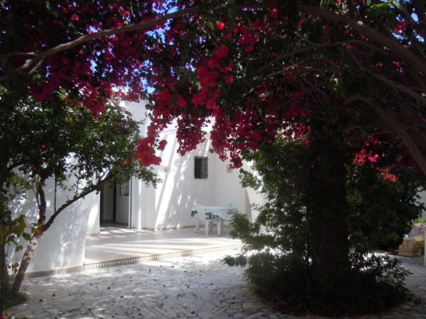 House With Garden Wala - Mahdia