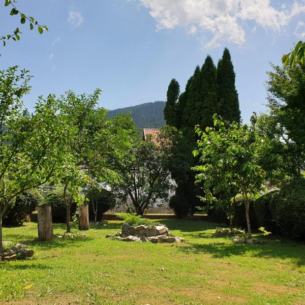 La Cuib - Câmpulung Moldovenesc