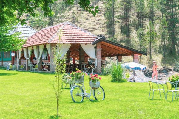 Zicka Plaza - Kraljevo