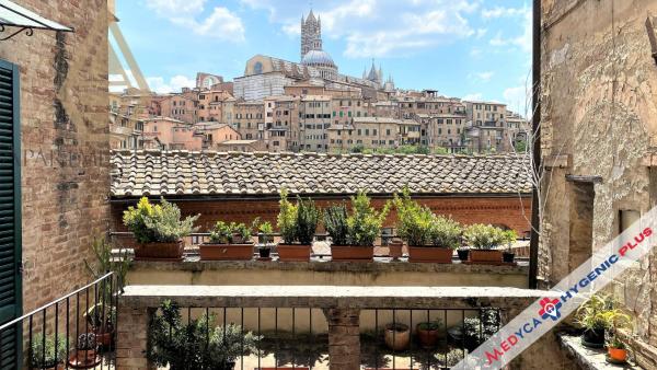Camporegio 31- In Centro Con Vista Sul Duomo - Siena