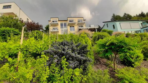 Casa La Vino - Trittenheim