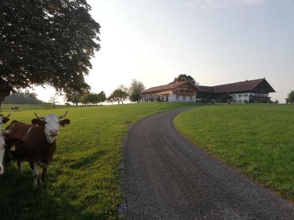 Sonnenhub - Bad Feilnbach