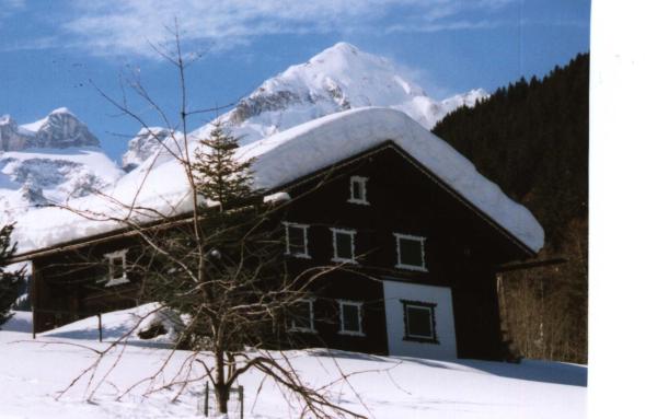 Ferienhaus Vollspora - Montafon