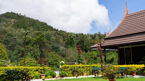 Radosri - Coonoor