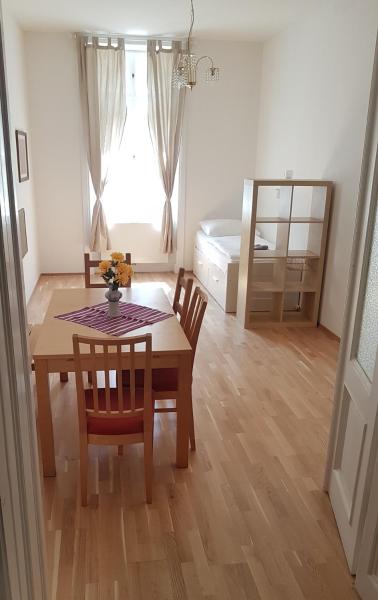 Sobieski Inner Ring Apartments - Vienna