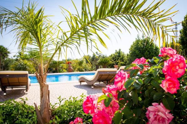 Villa Vanessa - Gagliano del Capo