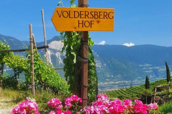 Für 4-6 Wohnhaus Im Weinberg - Voldersberghof - Trentino-Südtirol