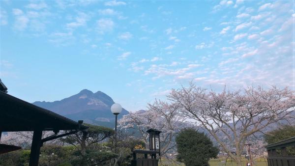 산소 타나카 - 유후인초 가와카미