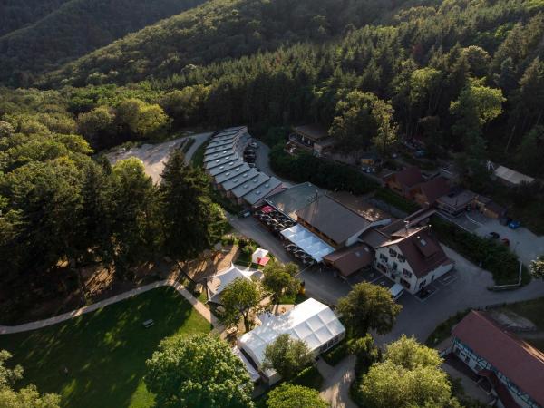 Domaine Du Hirtz, Restaurant & Spa - Haut-Rhin