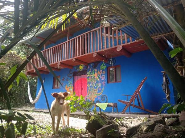 Eco Albergue Azul - Loreto, Perú