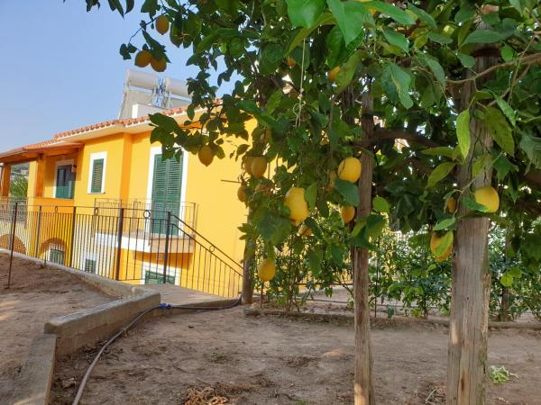 Casa Vacanze Il Frutteto - Massa Lubrense