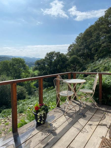 Hendre-aur Glamping Pod - Machynlleth