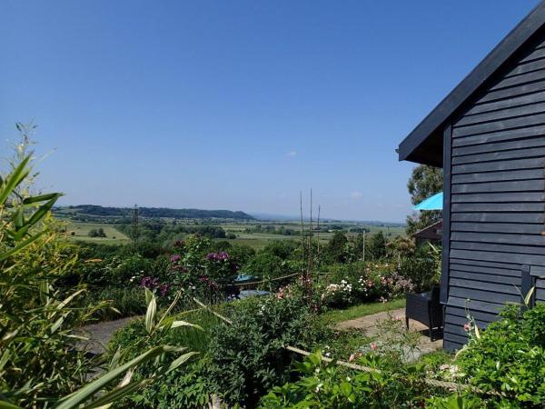 Rose Lodge - Dorset