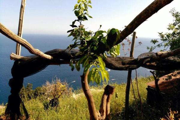 Casa Marilò - A Beautiful House Overlooking Amalfi - 폼페이