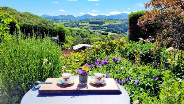 Ty Farm Retreat - Farmhouse Studio - Mountain View - Conwy