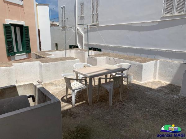 Magi - Mirtillo - Ponza