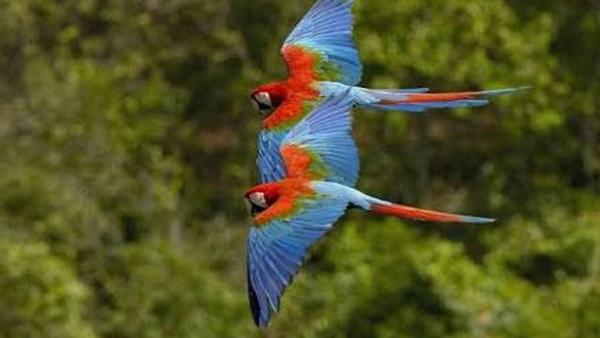 Park Veredas Apto 334 - Goiás (estado)