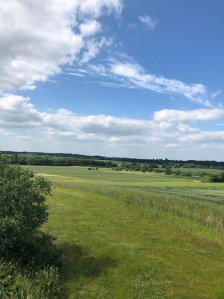 Rockinghams Farm - Maldon