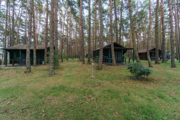 Urlaub Im Bungalow Mitten Im Wald - Zinnowitz