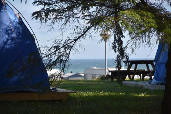 Hytteby – Hanstholm Camping – Thy Feriepark - Dania