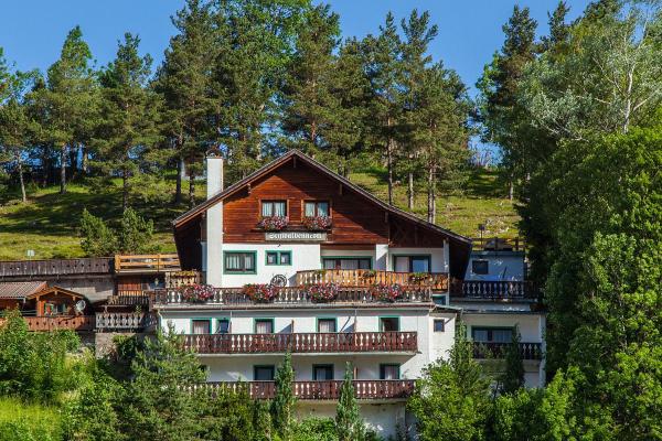 Alpenappartements Schwalbennestl - Mittenwald