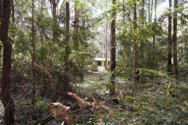 Karriwood Cottage - Warren Forest Stay - Pemberton