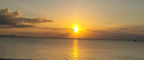 Airport Beach Hotel - Montego Bay