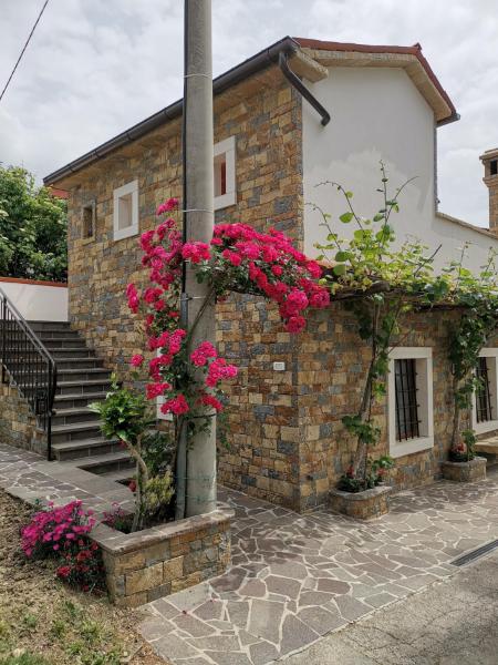 Wine& Apartments Jogan, Lovely Sunny Apartment - Slovenia