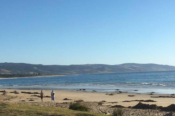 Apollo Blue Oceanview Unit 1- B Free Wifi - Colac Otway Shire