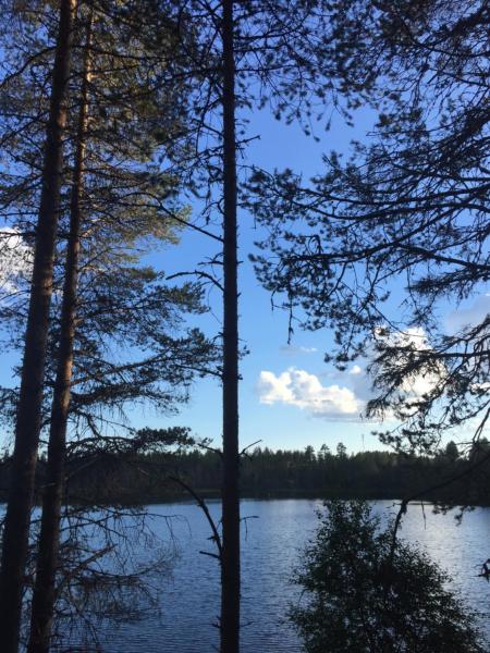 Petäjälammen Turistimajat - Finland