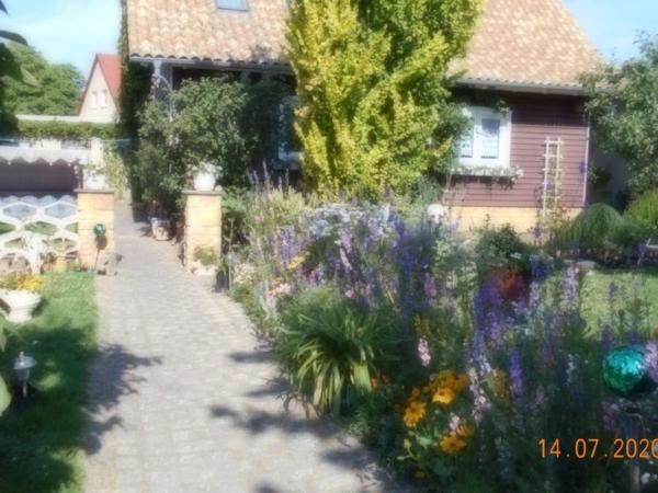 Appartment Dankerode - Alemania