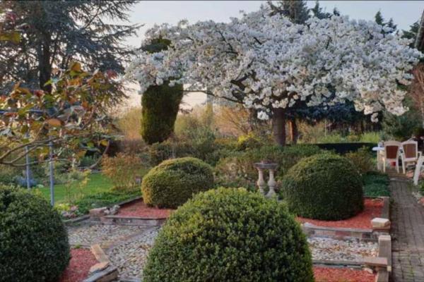 Chez Maya - ノール