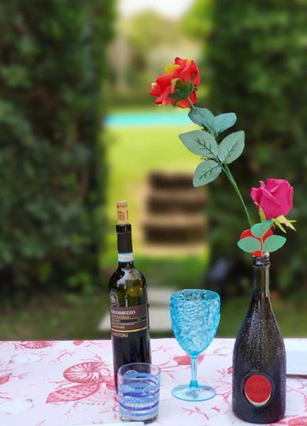 Private Garden Giardino Privato A Bardolino - House Amorino - Bardolino