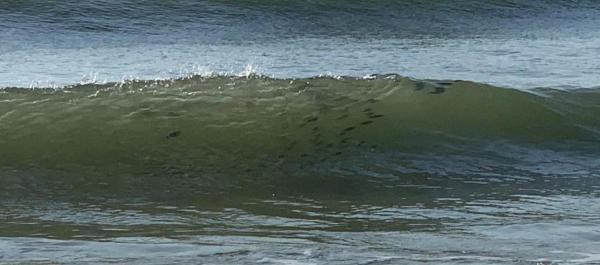 Lucky Enough - Oak Island, NC