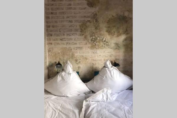 Wunderschöne Wohnung Mit Blick Auf Die Weinberge - Neustadt an der Weinstraße