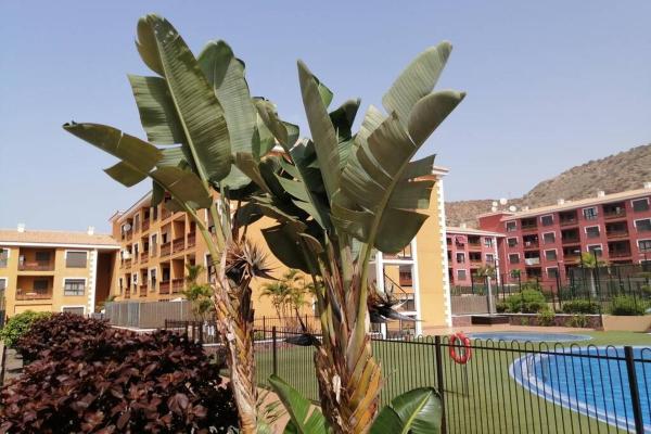 Beautiful Apartment With Pool In Palm Mar - Arona