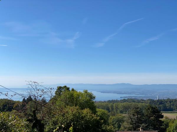 Petite Maison à L'orée Des Bois Vue Magnifique Sur Le Lac Zenitude Et Plénitude - Lausanne