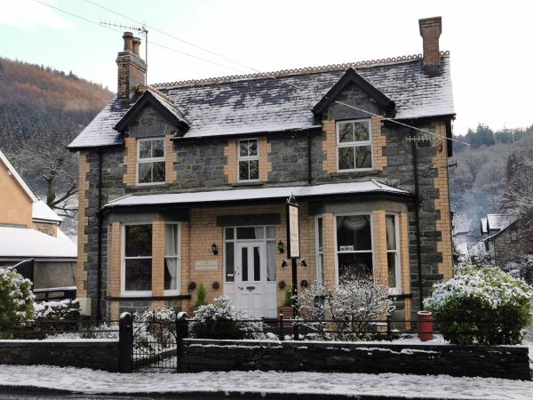 Dolweunydd Bed And Breakfast - Snowdonia
