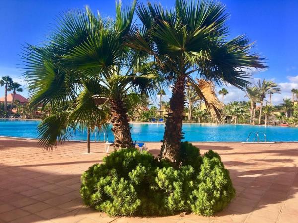 Fuerteventura Apartments Corralejo - Fuerteventura
