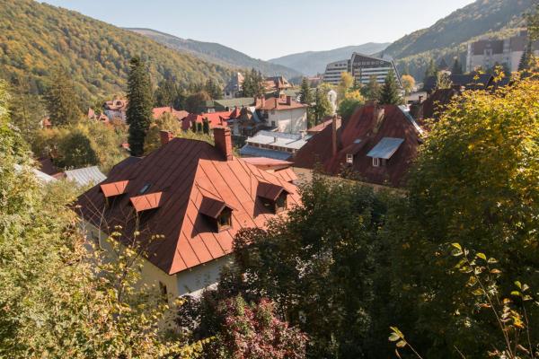 Rustic Regal - Sinaia