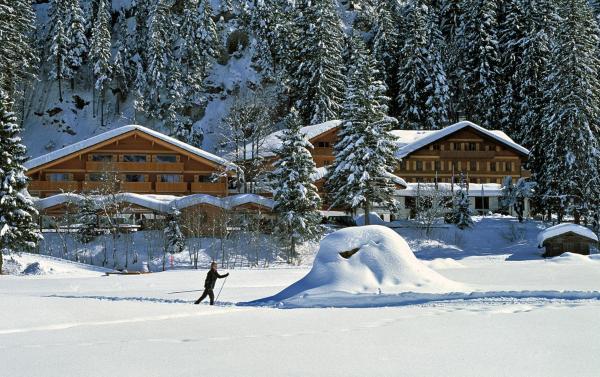 Waldhotel Doldenhorn - Kandersteg